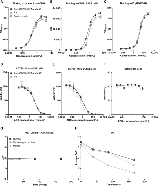 Broadening the Therapeutic Window of ADCs Using Site-Specific ...