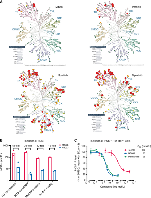 M4205 (IDRX-42) Is a Highly Selective and Potent Inhibitor of Relevant ...