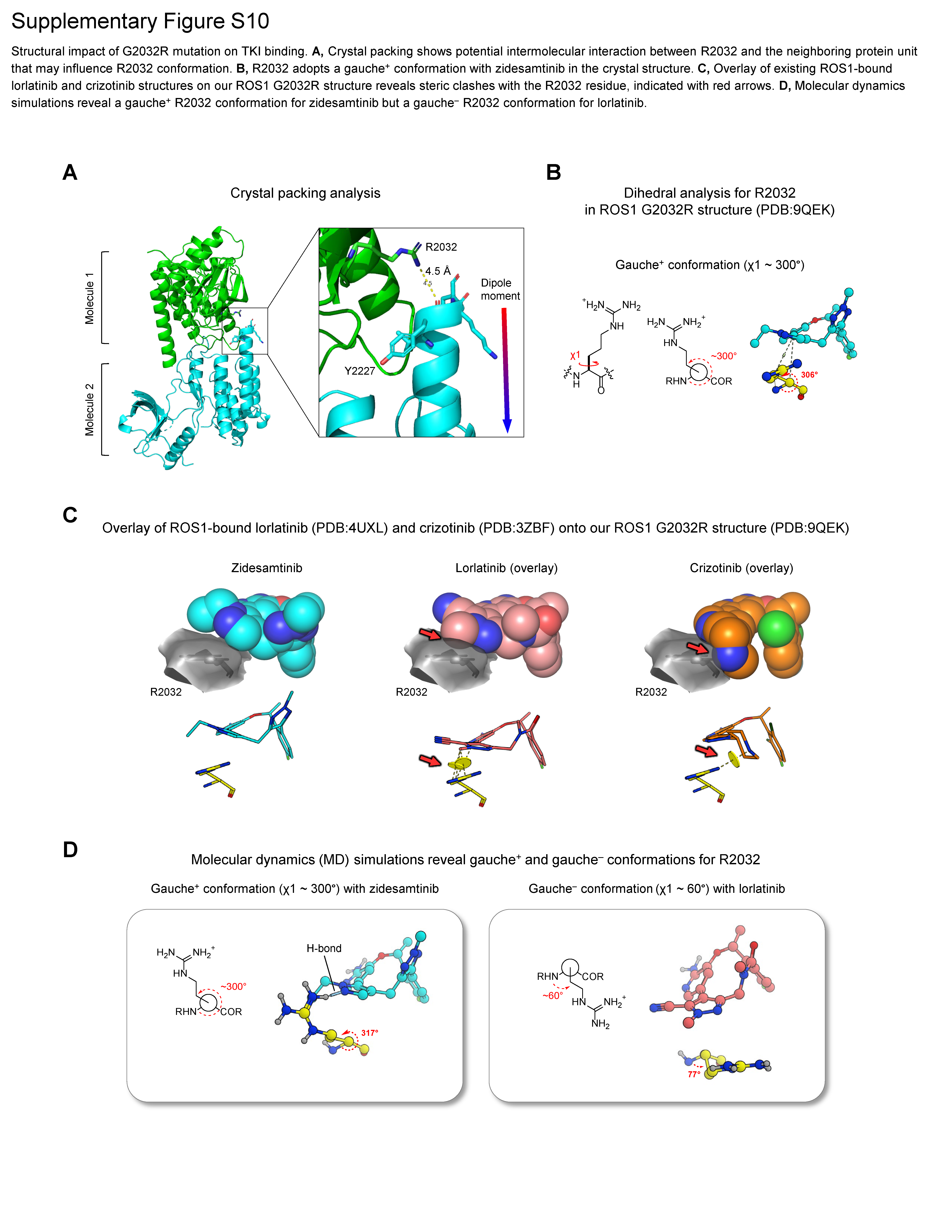 Zidesamtinib Selective Targeting of Diverse ROS1 Drug-Resistant ...