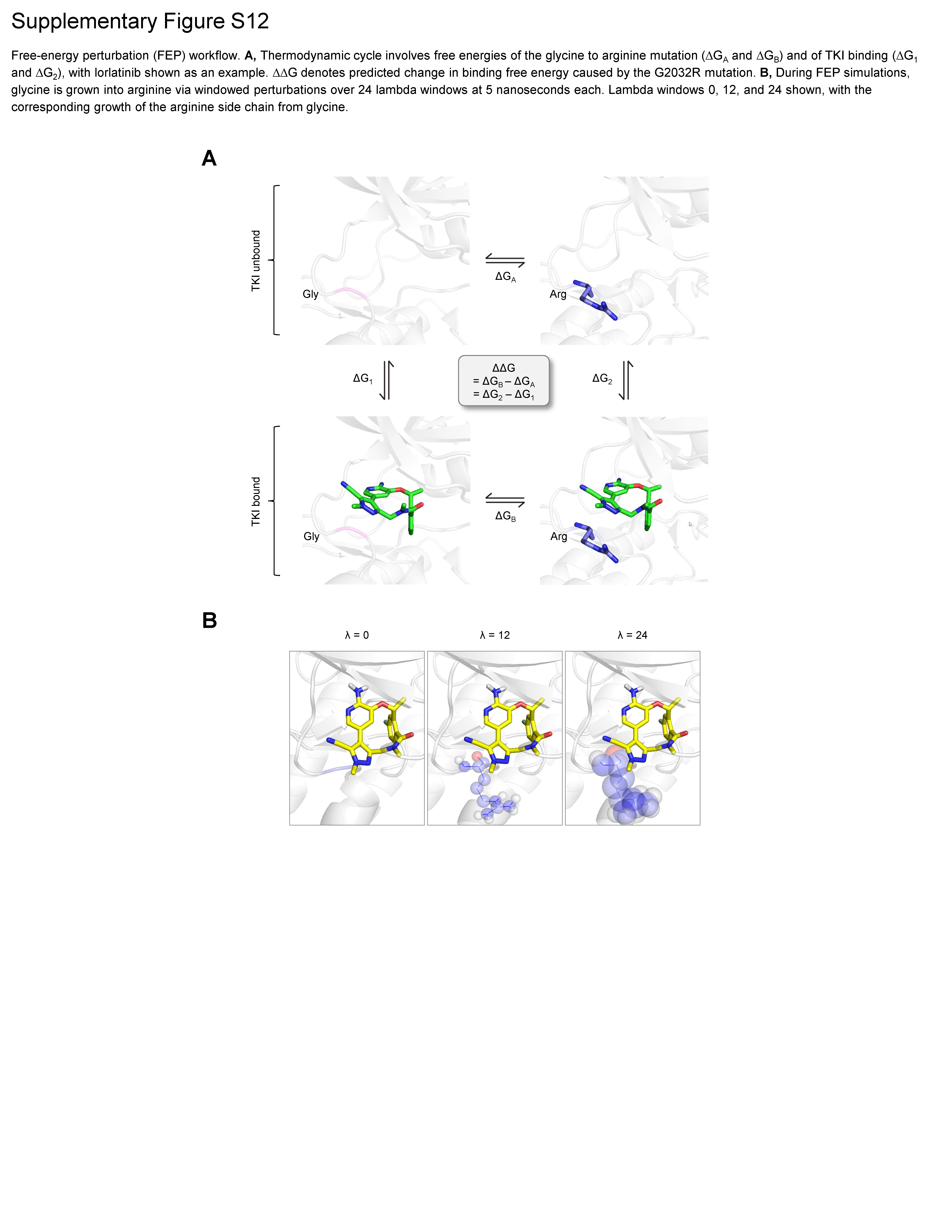 Zidesamtinib Selective Targeting of Diverse ROS1 Drug-Resistant ...