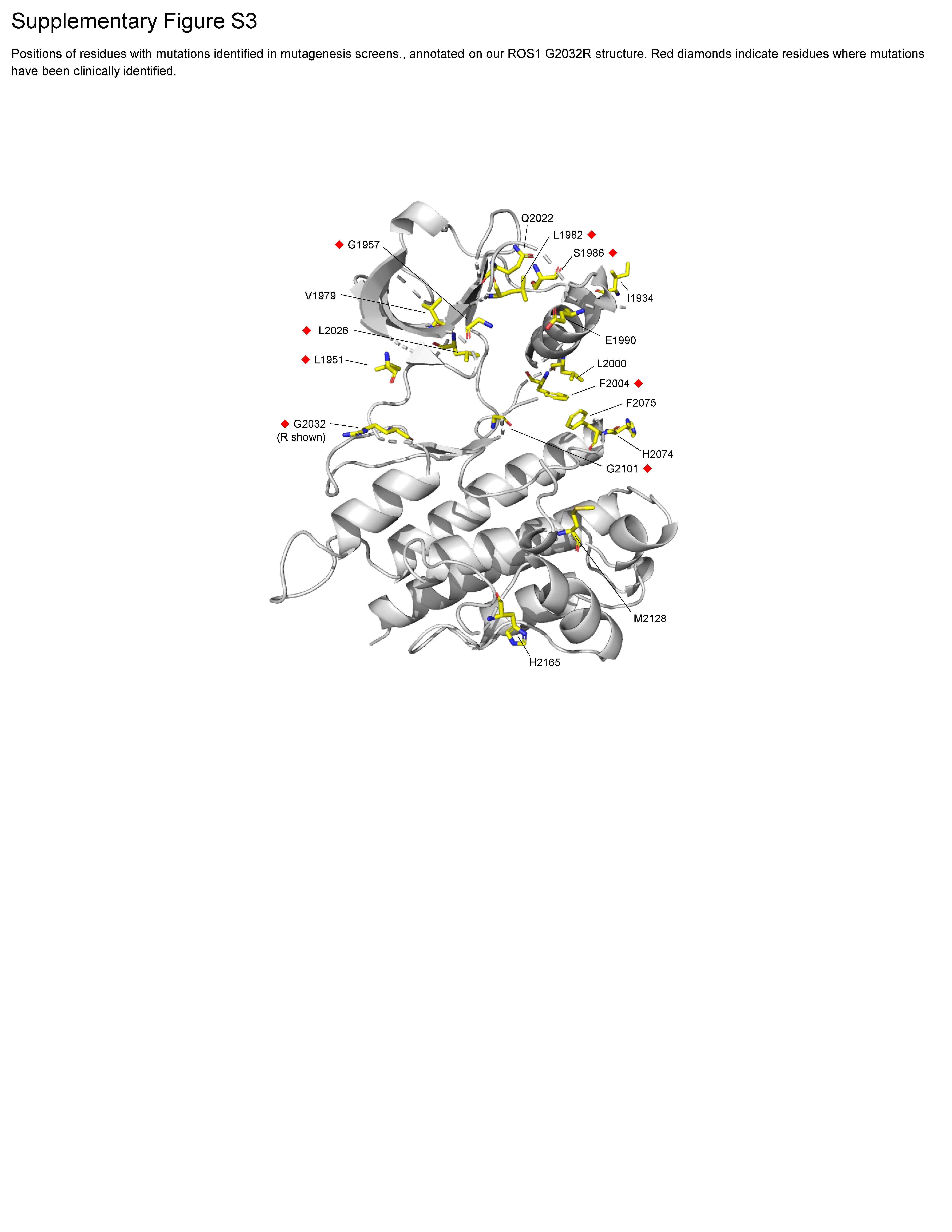 Zidesamtinib Selective Targeting of Diverse ROS1 Drug-Resistant ...