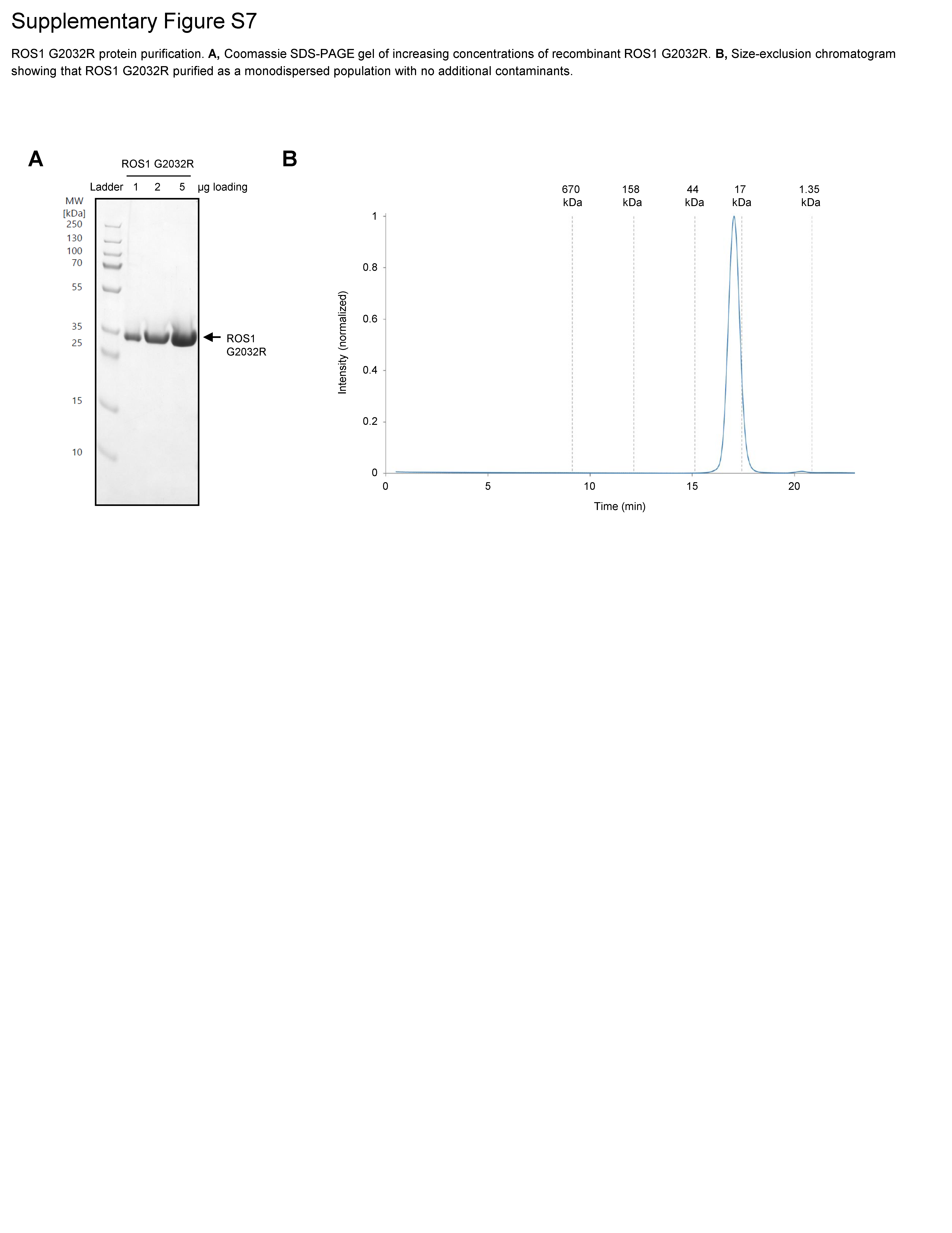 Zidesamtinib Selective Targeting of Diverse ROS1 Drug-Resistant ...