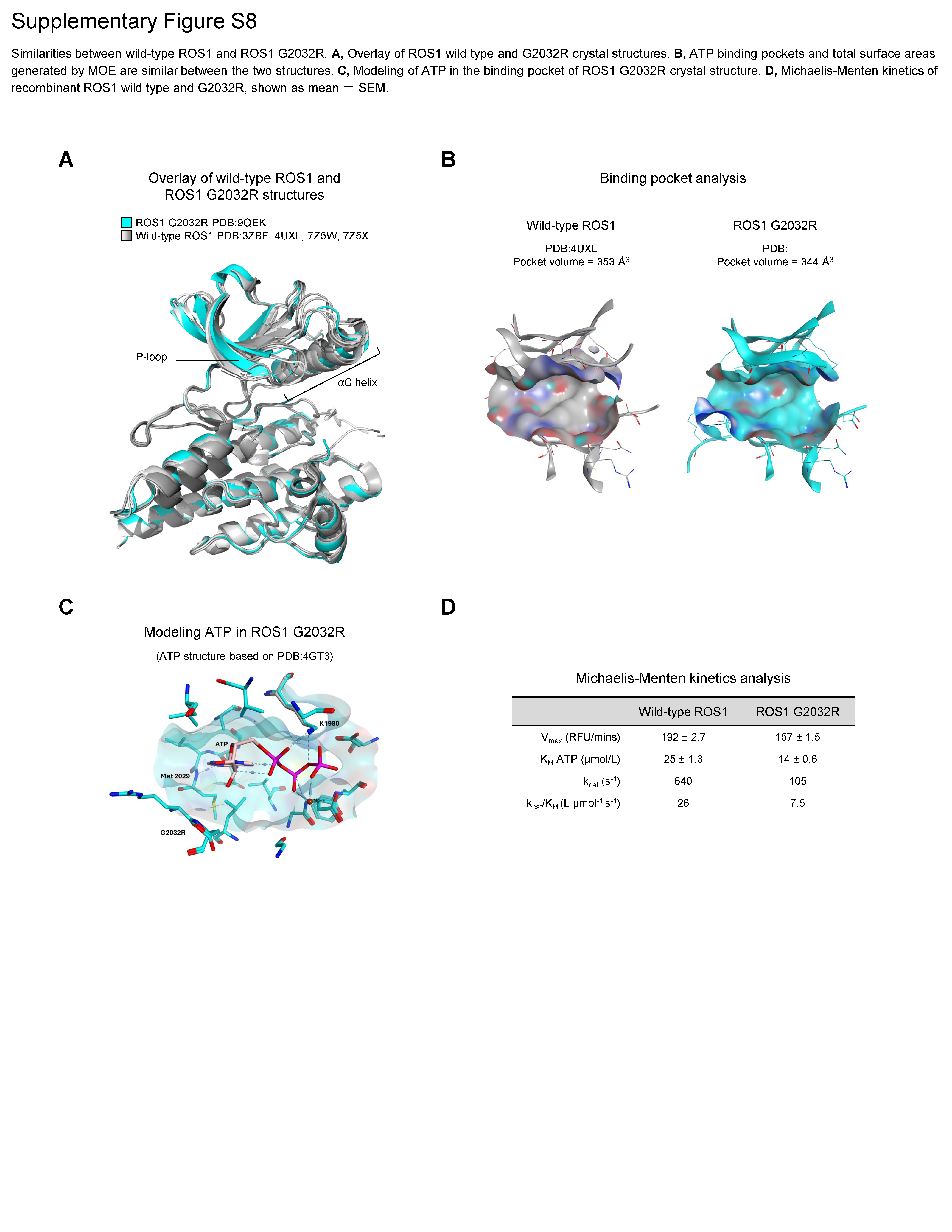 Zidesamtinib Selective Targeting of Diverse ROS1 Drug-Resistant ...