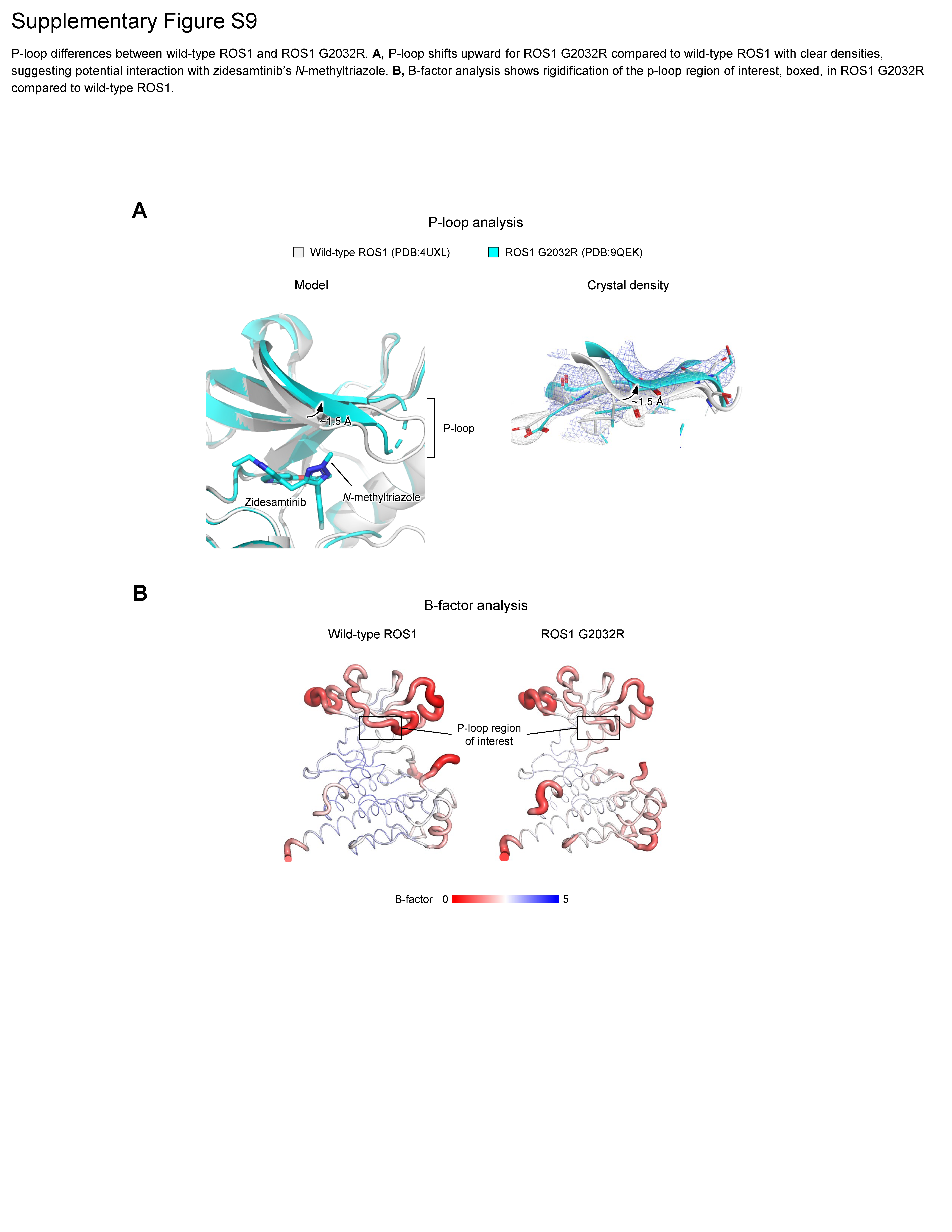 Zidesamtinib Selective Targeting of Diverse ROS1 Drug-Resistant ...