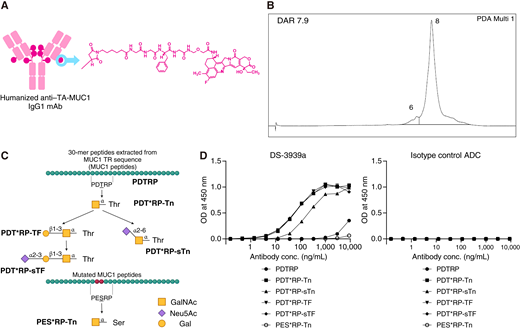 DS-3939a: A TA-MUC1–Directed Antibody–Drug Conjugate with Broad ...