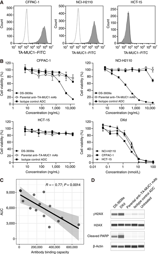 DS-3939a: A TA-MUC1–Directed Antibody–Drug Conjugate with Broad ...