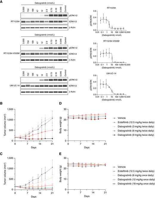 Dabogratinib (TYRA-300), an FGFR3 Isoform-Selective Inhibitor ...