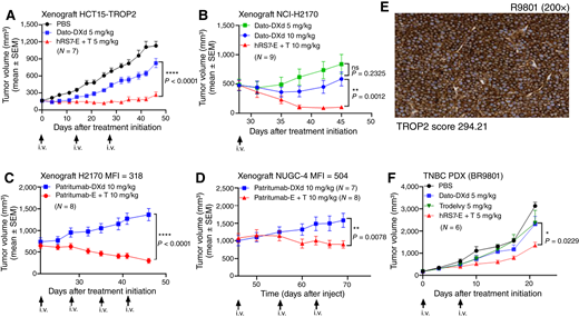 A Novel Dual-Payload ADC Platform Integrating Exatecan and Triptolide ...