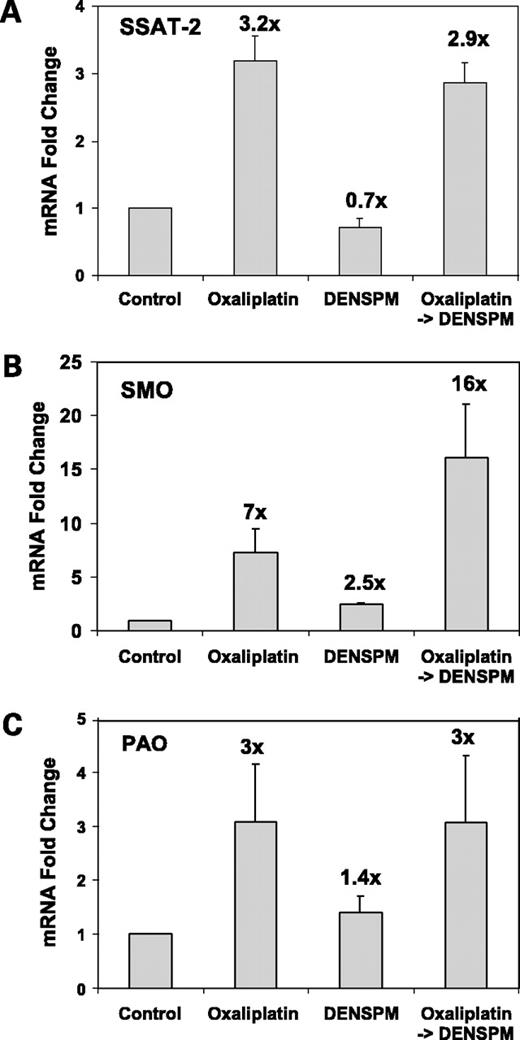 Polyamine catabolism in platinum drug action: Interactions between ...