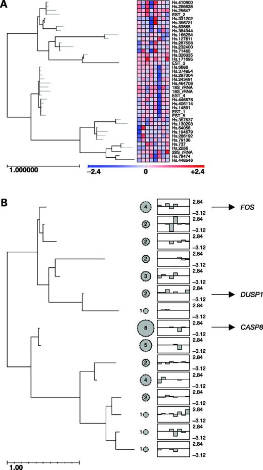 RNA expression profiling of normal and tumor cells following ...