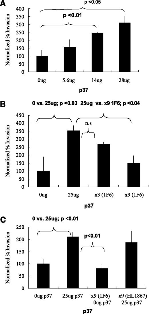 p37 induces tumor invasiveness | Molecular Cancer Therapeutics ...