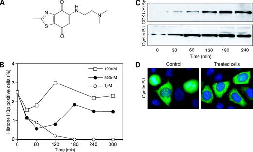 Inhibition of human tumor cell growth in vivo by an orally bioavailable ...
