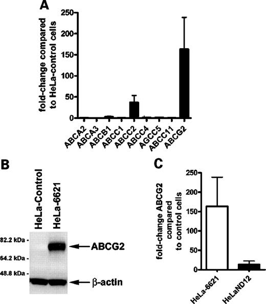 Role of the ABCG2 drug transporter in the resistance and oral ...