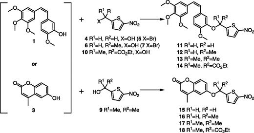 Synthesis and biological properties of bioreductively targeted ...