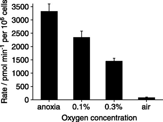 Synthesis and biological properties of bioreductively targeted ...