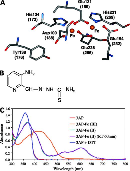 A Ferrous-triapine complex mediates formation of reactive oxygen ...