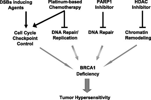 BRCA1 at the crossroad of multiple cellular pathways: approaches for ...