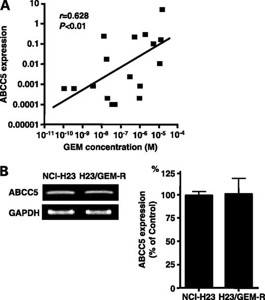 The determinants of sensitivity and acquired resistance to gemcitabine ...