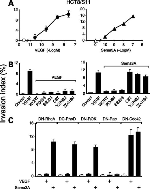 Inhibition of vascular endothelial growth factor (VEGF)-165 and ...