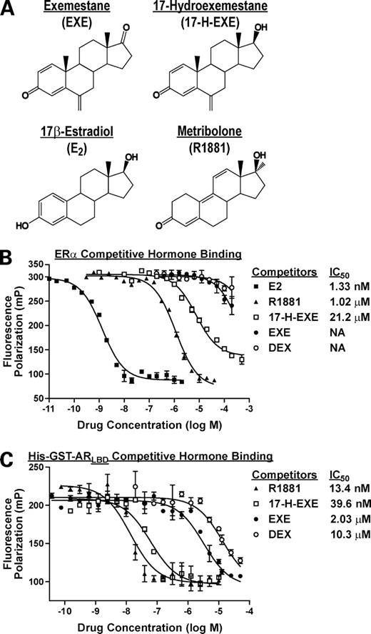 Exemestane's 17-hydroxylated metabolite exerts biological effects as an ...