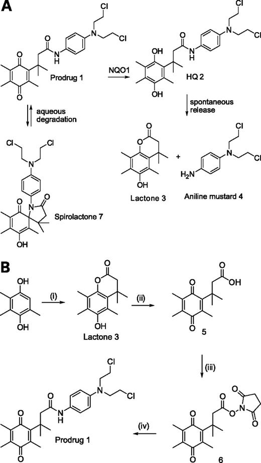 Chemical synthesis and biological evaluation of a NAD(P)H:quinone ...