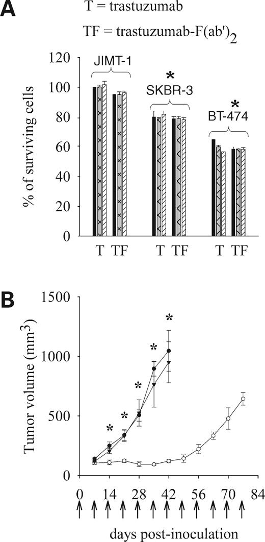 Trastuzumab causes antibody-dependent cellular cytotoxicity–mediated ...