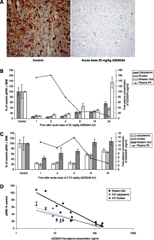 AZD6244 (ARRY-142886), a potent inhibitor of mitogen-activated protein ...