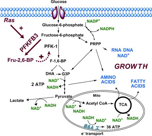 Small-molecule inhibition of 6-phosphofructo-2-kinase activity ...