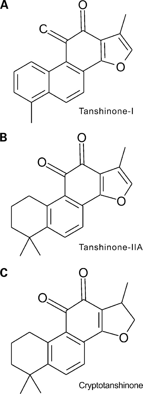 Anticancer effects of tanshinone I in human non-small cell lung cancer ...
