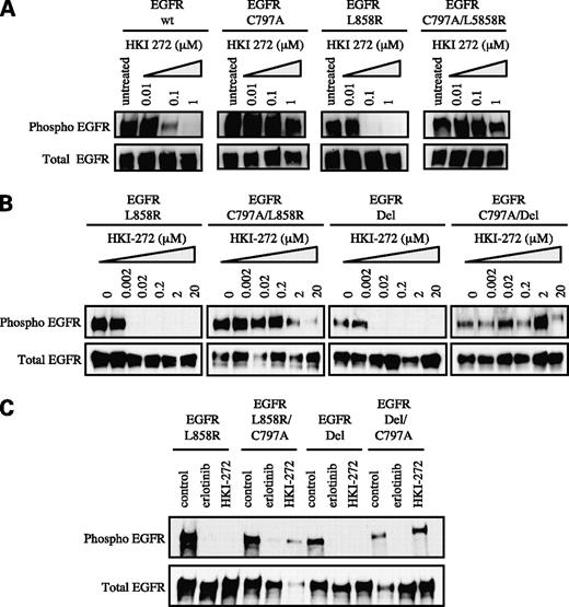 The T790M “gatekeeper” mutation in EGFR mediates resistance to low ...