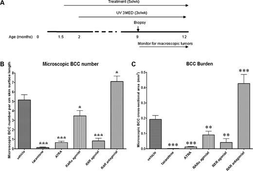 Pharmacologic retinoid signaling and physiologic retinoic acid receptor ...