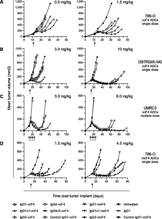 Engineered anti-CD70 antibody-drug conjugate with increased therapeutic ...