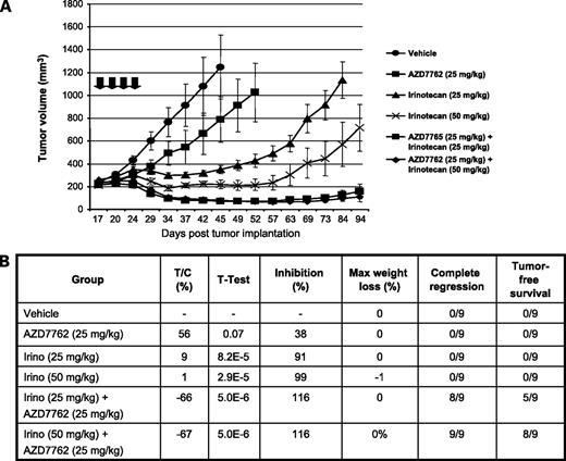 AZD7762, a novel checkpoint kinase inhibitor, drives checkpoint ...