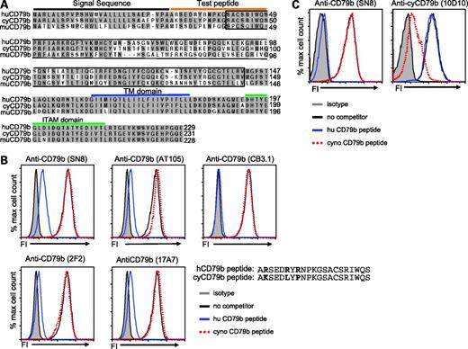 In vivo effects of targeting CD79b with antibodies and antibody-drug ...