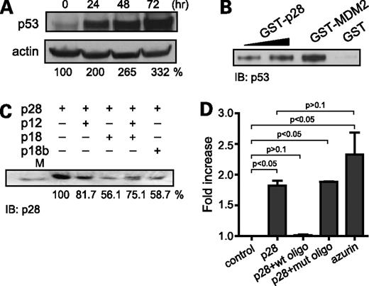 A peptide fragment of azurin induces a p53-mediated cell cycle arrest ...