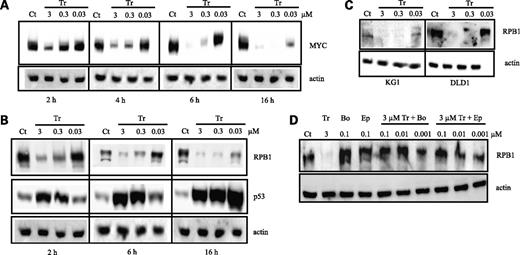 Triptolide is an inhibitor of RNA polymerase I and II–dependent ...