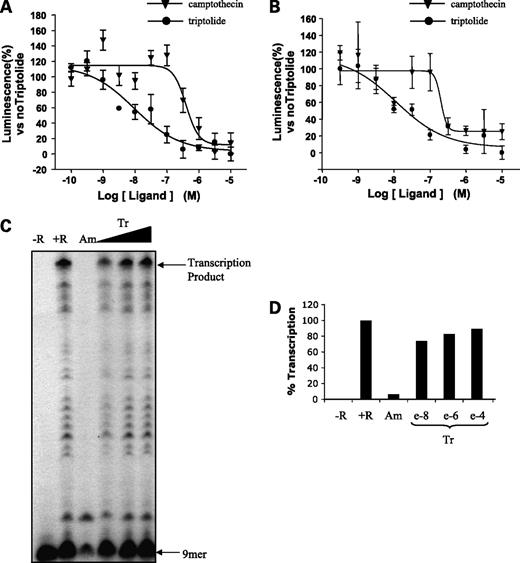 Triptolide is an inhibitor of RNA polymerase I and II–dependent ...