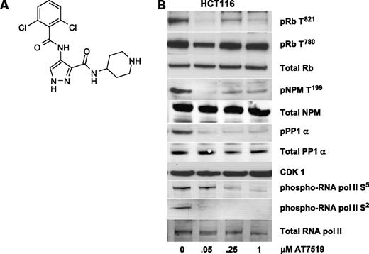 Biological characterization of AT7519, a small-molecule inhibitor of ...