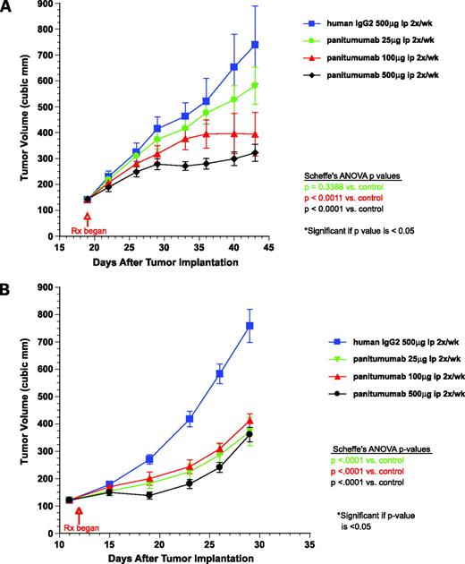 Activity of panitumumab alone or with chemotherapy in non-small cell ...