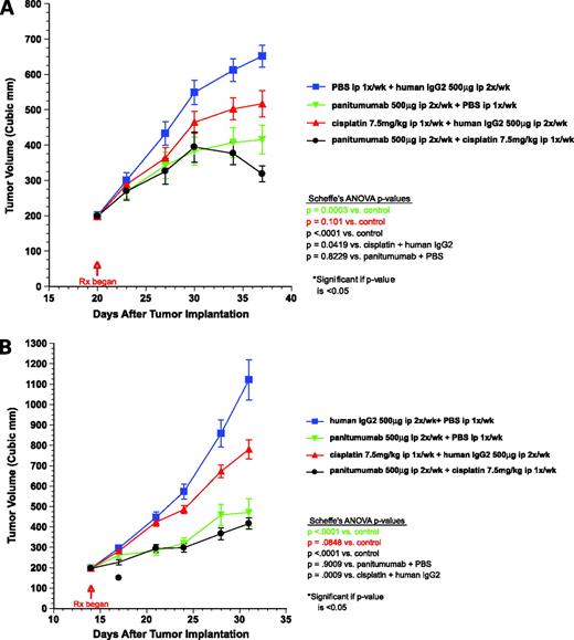 Activity of panitumumab alone or with chemotherapy in non-small cell ...