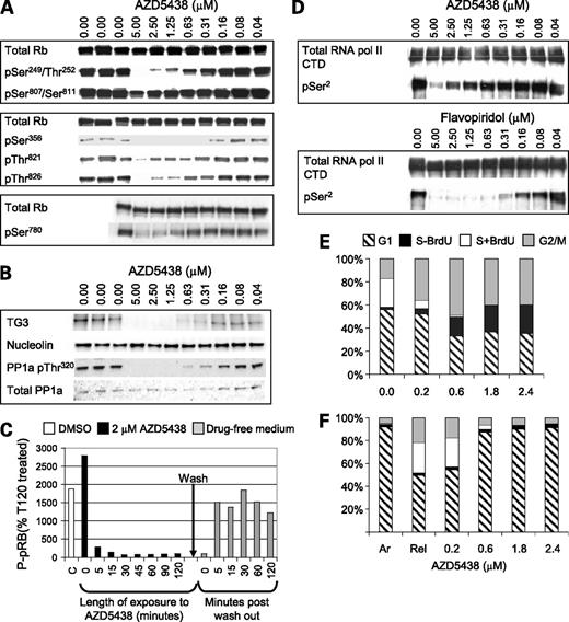 AZD5438, a potent oral inhibitor of cyclin-dependent kinases 1, 2, and ...