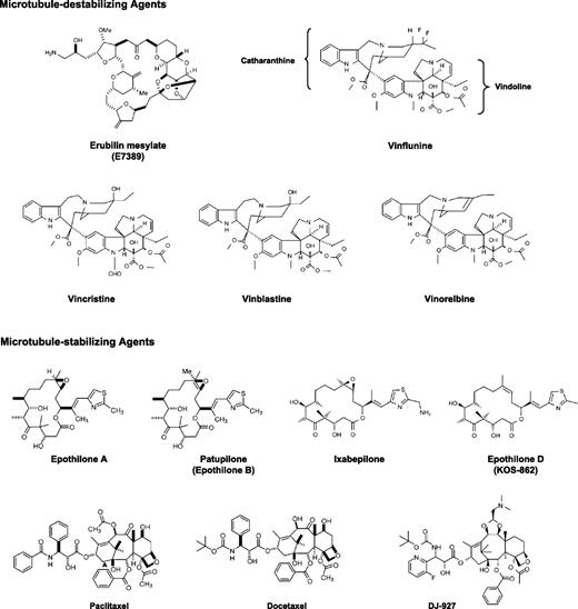 Microtubule inhibitors: Differentiating tubulin-inhibiting agents based ...
