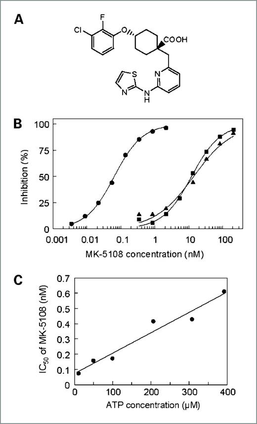 MK-5108, a Highly Selective Aurora-A Kinase Inhibitor, Shows Antitumor ...