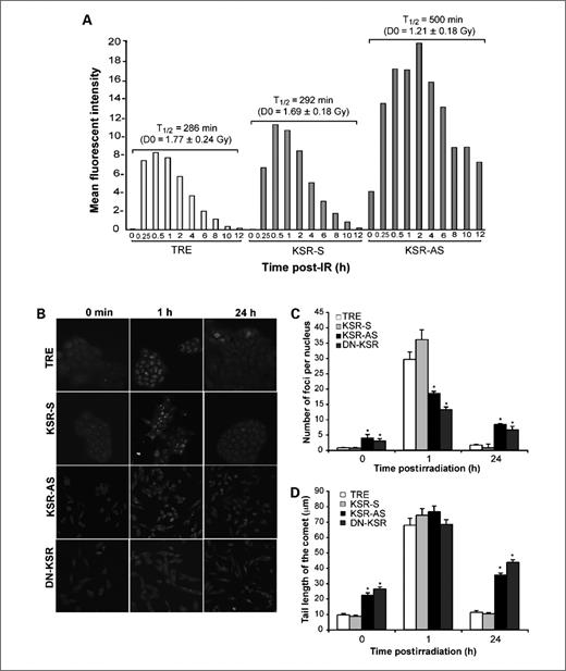 Pharmacologic Inactivation of Kinase Suppressor of Ras1 Sensitizes ...