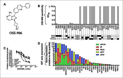 Compensatory Insulin Receptor (IR) Activation on Inhibition of Insulin ...