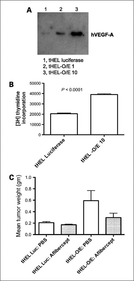 Aflibercept Exerts Antivascular Effects and Enhances Levels of ...