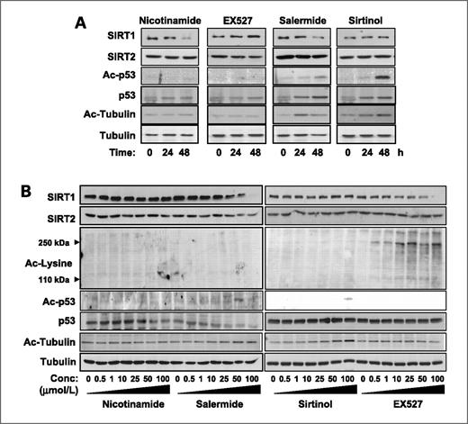 SIRT Inhibitors Induce Cell Death and p53 Acetylation through Targeting ...