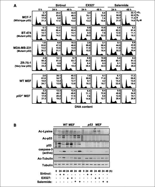 SIRT Inhibitors Induce Cell Death and p53 Acetylation through Targeting ...