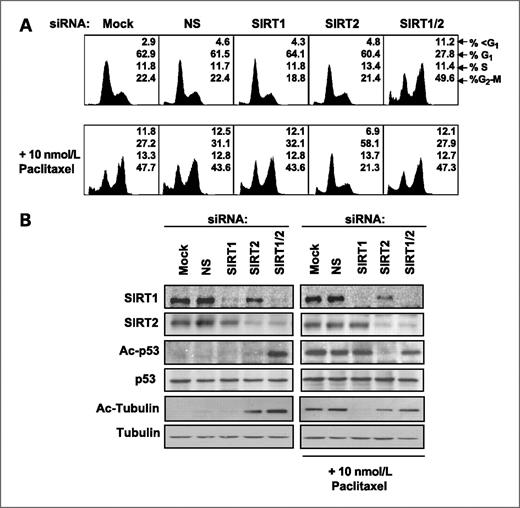 SIRT Inhibitors Induce Cell Death and p53 Acetylation through Targeting ...
