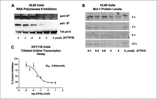 AT7519, a Cyclin-Dependent Kinase Inhibitor, Exerts Its Effects by ...